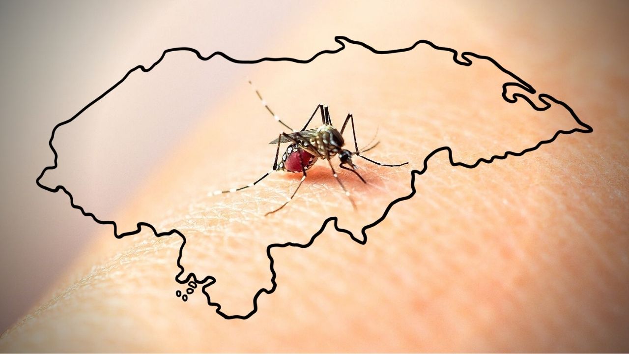 Honduras reporta una reducción del 94 % en casos de dengue