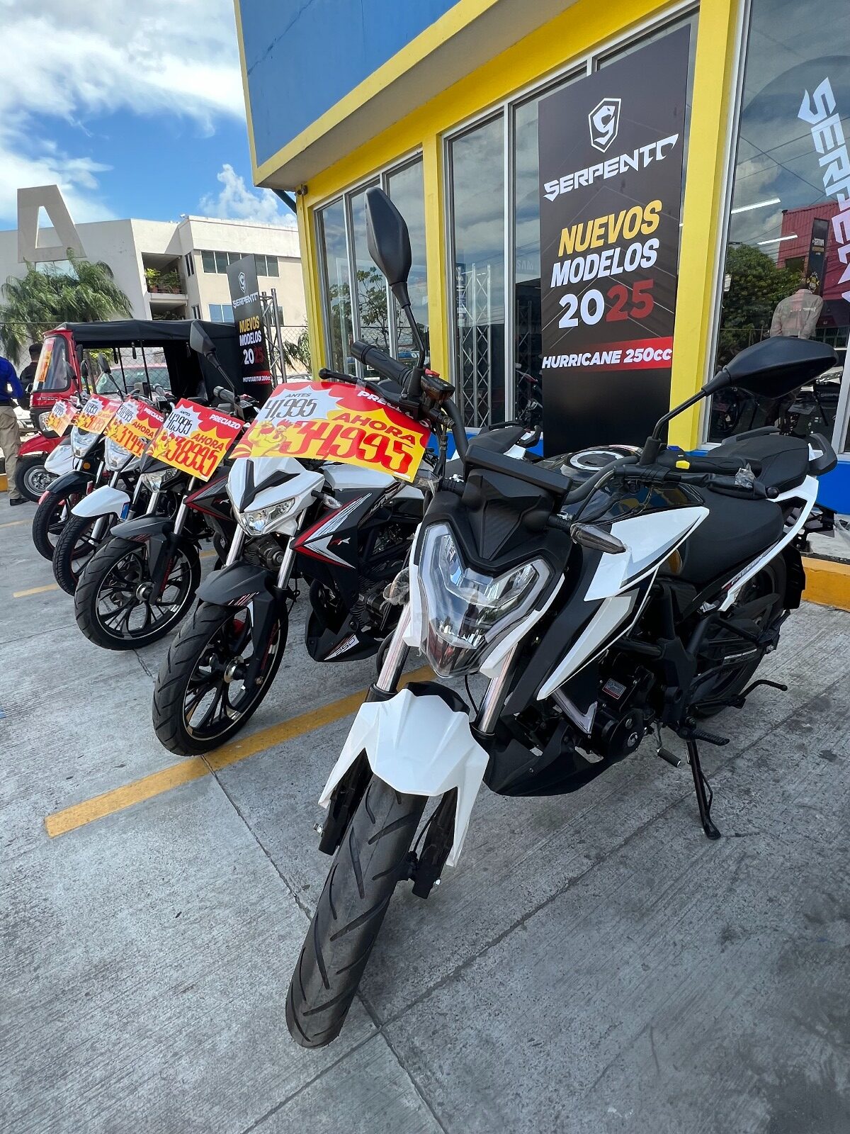 El Gallo más Gallo presenta la nueva línea 2025 de Serpento